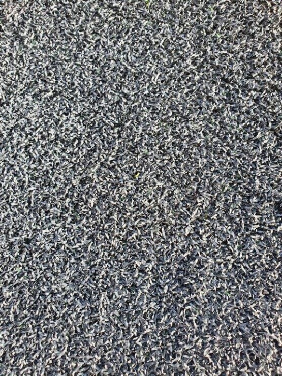 Vibrant Coloured Artificial Grass | Enhance Your Outdoor Space - RecSurf